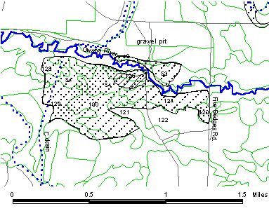 Revegetation Plan - Groundwater Pumping - Inyo County Water Department