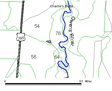 Revegetation Plan - Groundwater Pumping - Inyo County Water Department