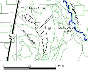 Revegetation Plan - Groundwater Pumping - Inyo County Water Department