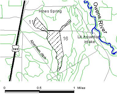 Revegetation Plan - Groundwater Pumping - Inyo County Water Department